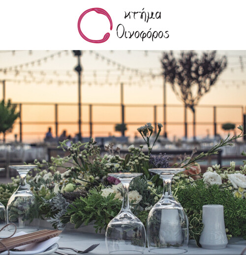 Politischios.gr | Ειδήσεις για τη Χίο και το Βόρειο Αιγαίο