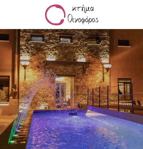 Politischios.gr | Ειδήσεις για τη Χίο και το Βόρειο Αιγαίο