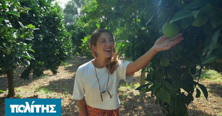 Η εκπομπή της ΕΡΤ3 «Βότανα, καρποί της Γης» συνεχίζει την ξενάγηση στη ...