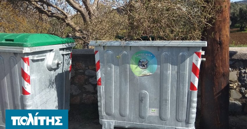 Άνθισαν και… οι κάδοι απορριμμάτων | politischios.gr