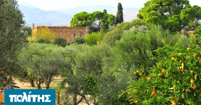 Οδοιπορικό σε μία από τις ομορφότερες και πιο διακριτές, χάρη στο ...