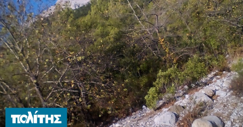 Πεζοπορία στο μονοπάτι της Κλειδούς | politischios.gr