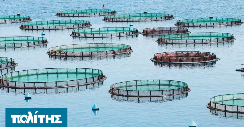Ελάτα – Να απομακρυνθούν οι ιχθυοκαλλιέργειες αποφάσισε η λαϊκή ...