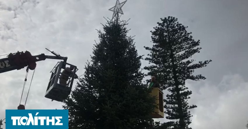 Στήθηκε και το έλατο στην Πλατεία Βουνακίου - Βίντεο | politischios.gr
