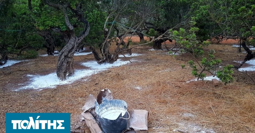 Ο Περιφερειακός Συμπαραστάτης του Πολίτη και της Επιχείρησης για τη ...