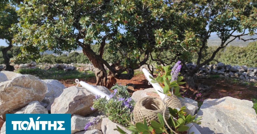 Πασχαλινά εργαστήρια στο Μουσείο Μαστίχας Χίου | politischios.gr