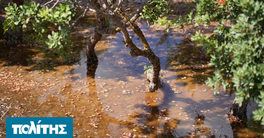 Εικόνες πλήρους καταστροφής στη Νότια Χίο | politischios.gr