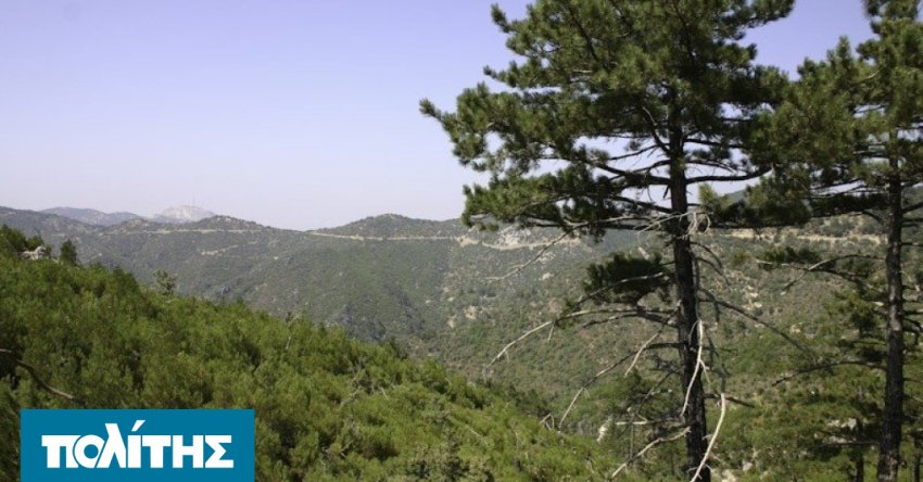 Στην πέτρινη… Χίο οι δασικοί χάρτες βλέπουν για δάση το 80% του νησιού ...