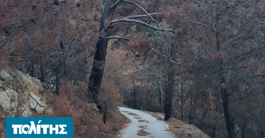 Λαϊκή Συσπείρωση Χίου: «Οι ζωές μας πάνω από τα κέρδη τους ...