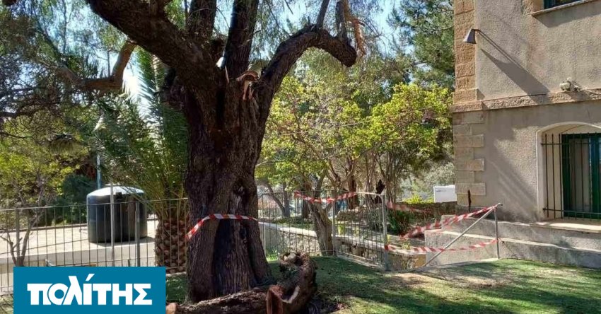 Αποχή μαθητών και παράσταση διαμαρτυρίας αποφάσισε ο Σύλλογος Γονέων ...