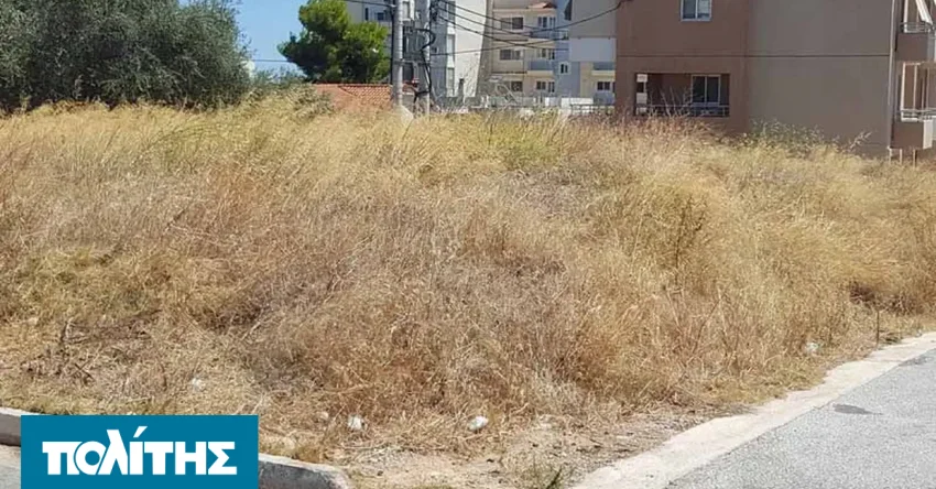 Δήμος Χίου - Καθαρίστε τα χωράφια σας είναι υποχρέωσή σας | politischios.gr