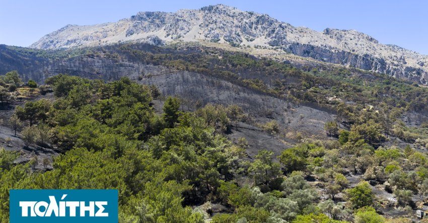 Αυτή είναι η Χίος που παραδίδουμε στις επόμενες γενιές | politischios.gr