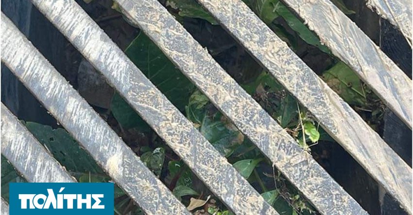 Σύμπραξη Δημιουργίας: "Αν δεν ήταν το αντιπλημμυρικό Καλοπλύτη η Χίος ...