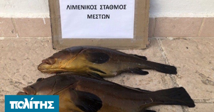 Μεστά - Πρόστιμο για υπεραλίευση σε ερασιτέχνη αλιέα | politischios.gr