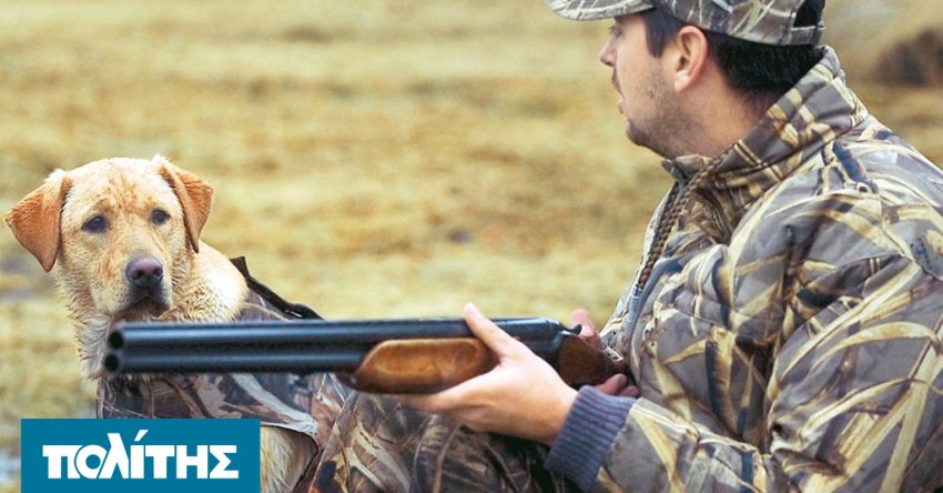 Προσωρινή απαγόρευση εκγύμνασης κυνηγετικών σκύλων στη Χίο ...